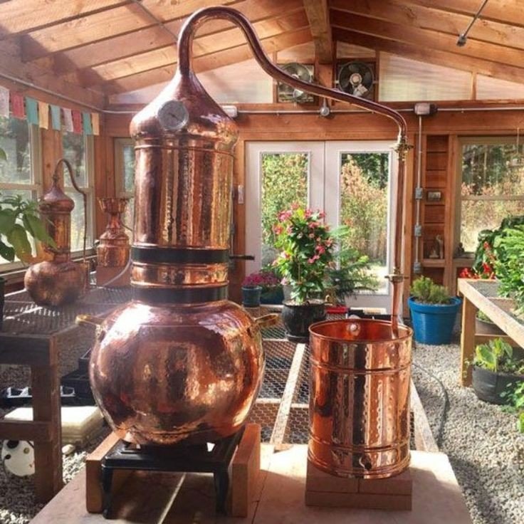 Essential Oils 101, Everything You Need To Know – LoveHerbsOnTheHill.com